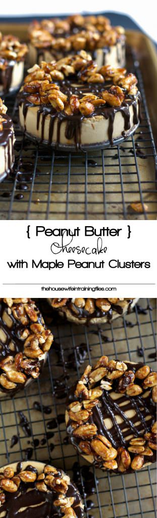 Greek Yogurt Peanut Butter Cheesecake with Maple Peanut Clusters