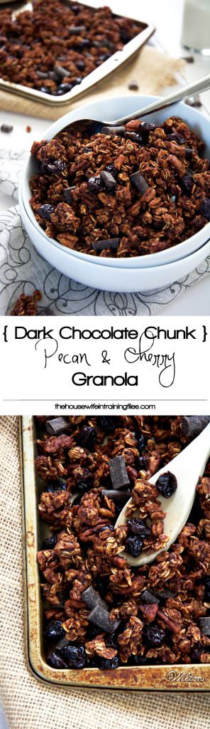 {Lightened Up} Dark Chocolate Chunk Cherry Granola with Pecans